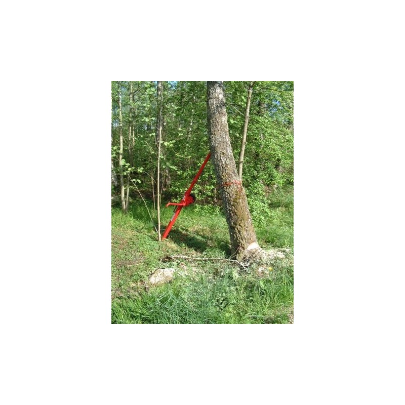 Cric forestier Pusher - Zimmer